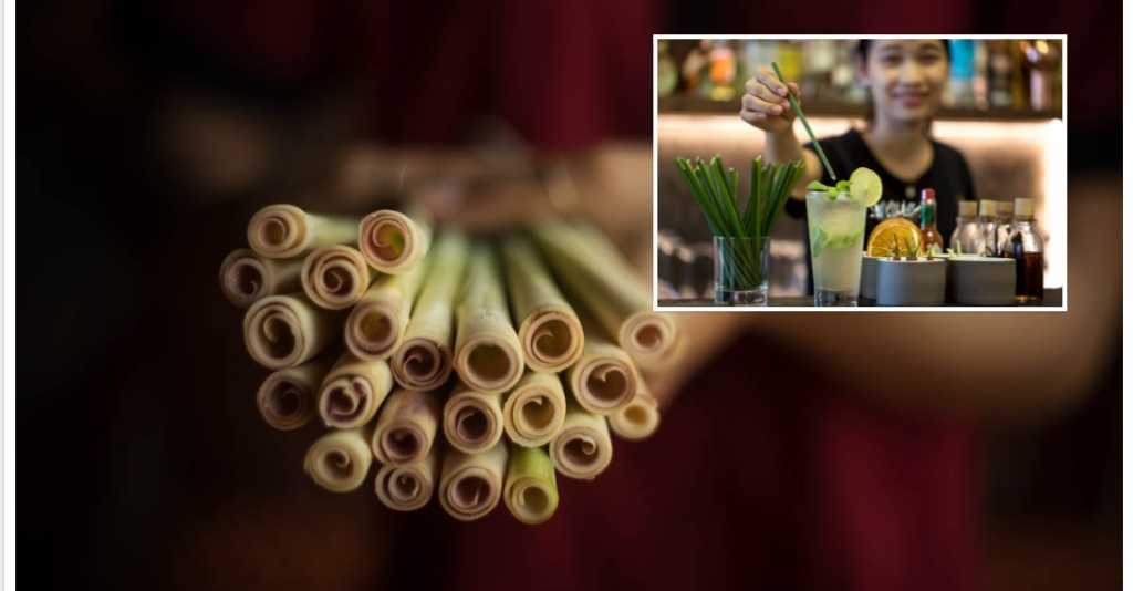 Penggunaan straw serai bakal diperluas ke kafe hospital – Dah Tau Ker?!